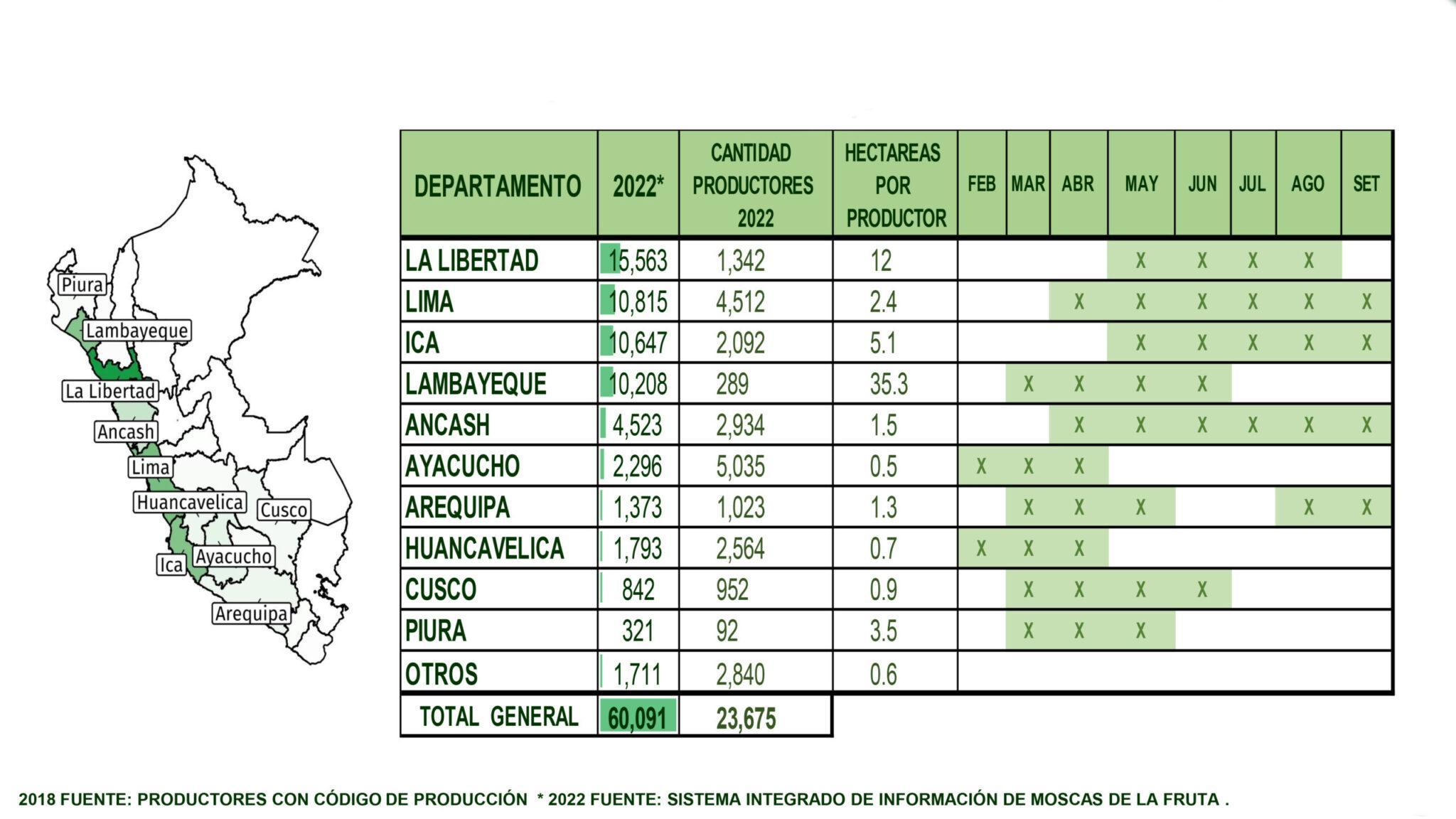 Perú cuenta con 60,091 hectáreas de palta Hass – Agrofest Perú